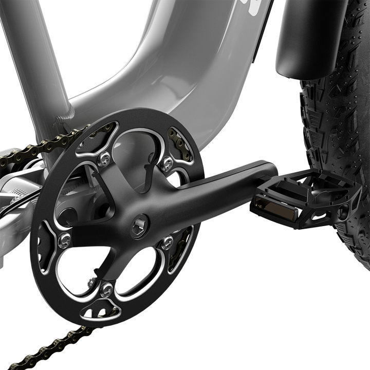 Shengmilo S600 2000W Dual Motor Electric Bike – Shengmilo® Official Website